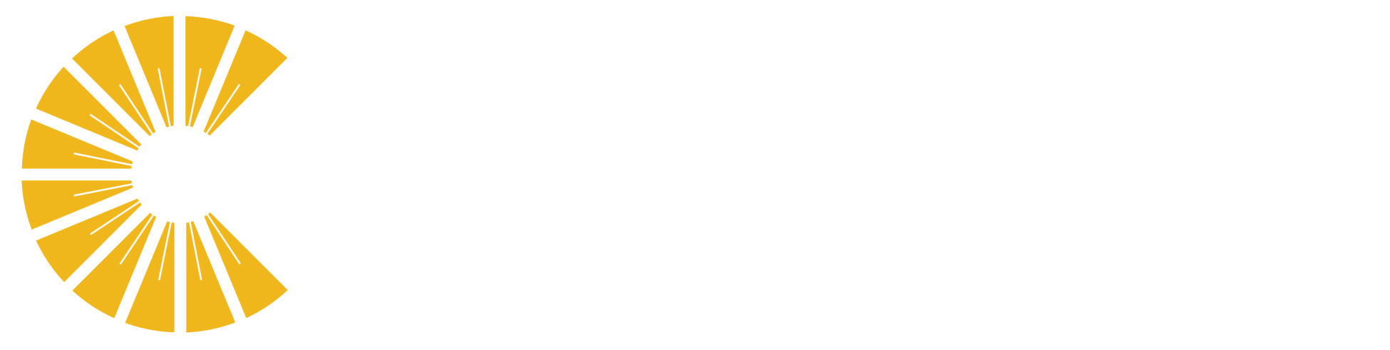 Cademe Piano Digital piano – China digital piano 88 keys hammer action ...